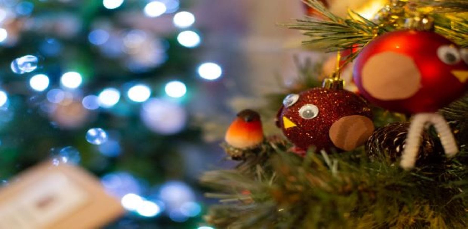 Worcester - Christmas Tree Festival - The Association of English Cathedrals