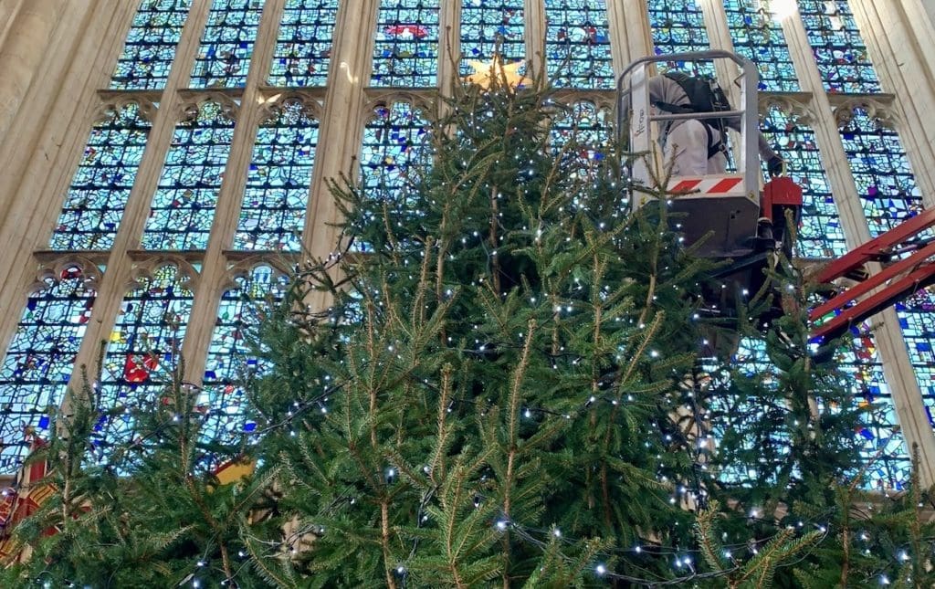 Giant Christmas Tree at Winchester Cathedral - The Association of ...