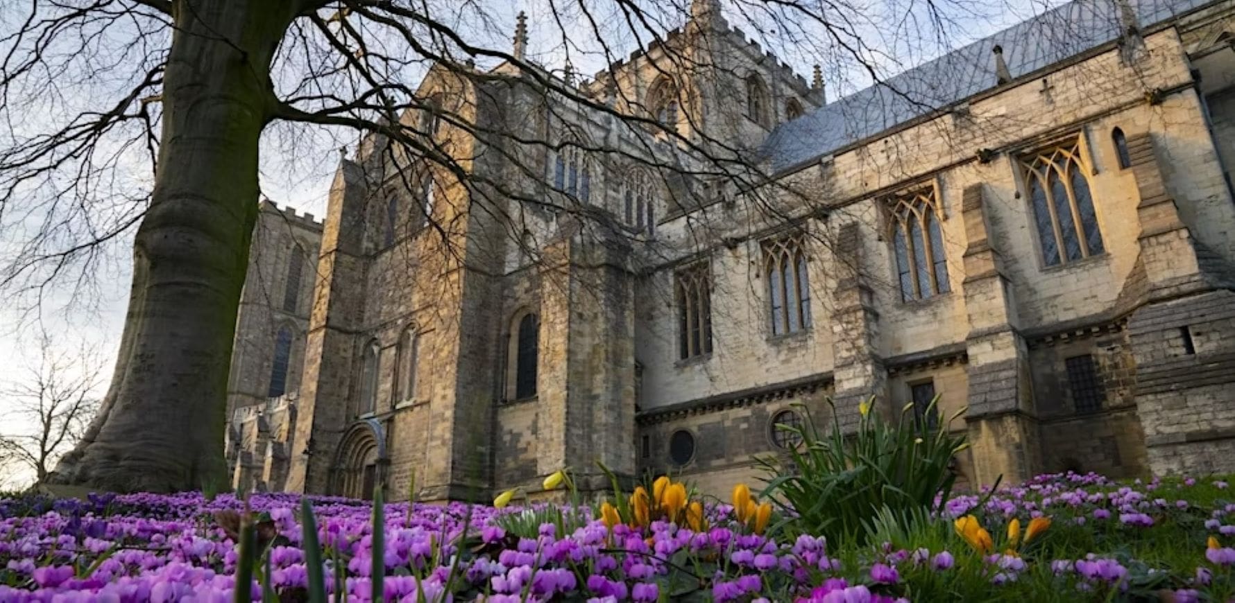 Ripon - Spring Food, Home & Garden Fair - The Association of English Cathedrals