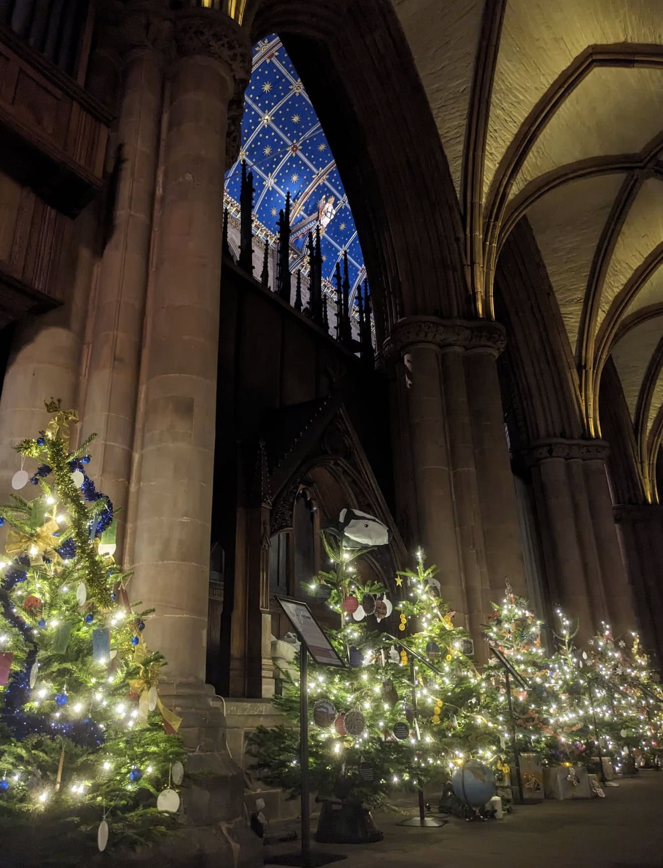 Carlisle Cathedral - First Christmas Tree Festival - The Association of ...